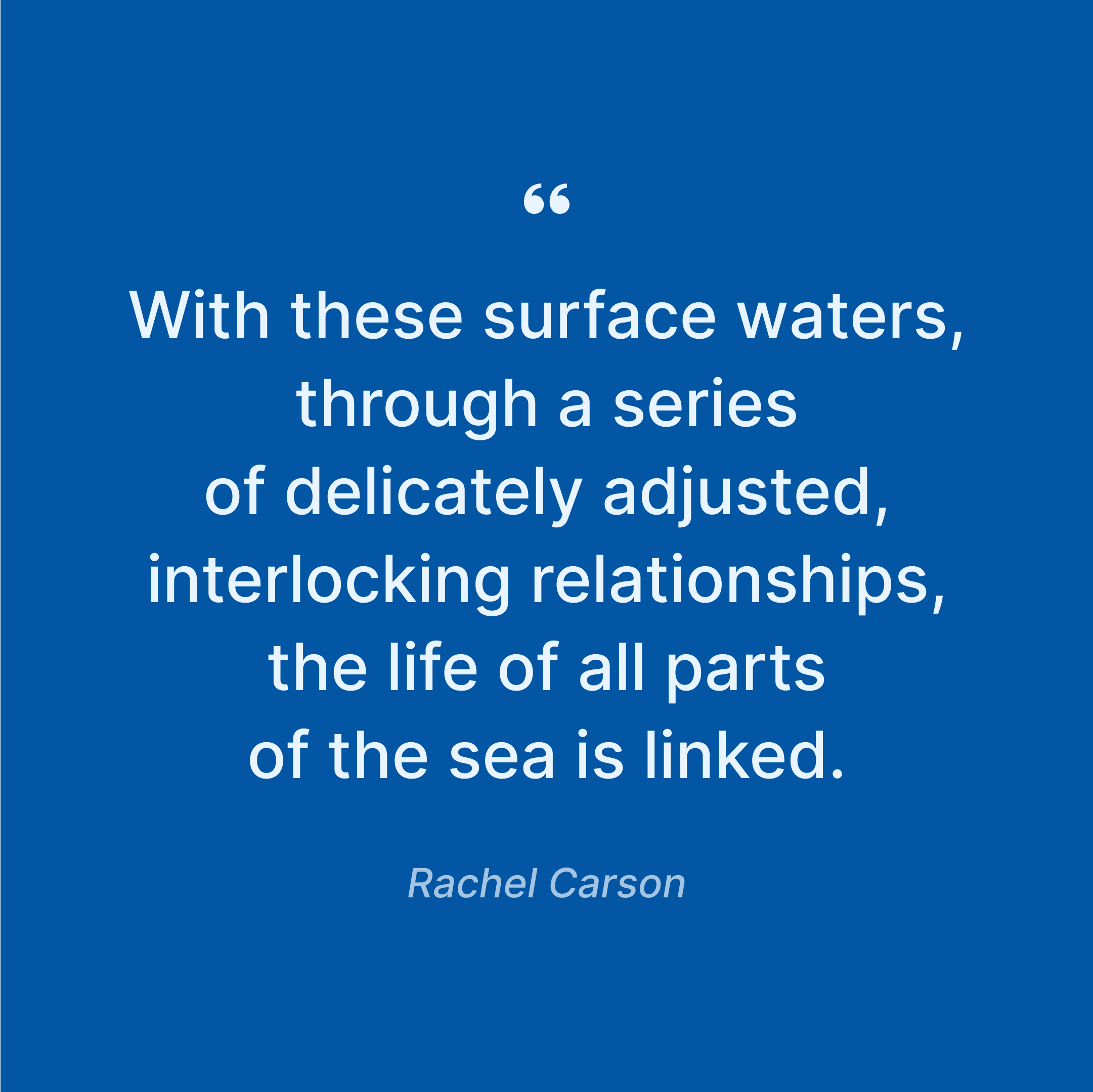 Famous Rachel Quotes
