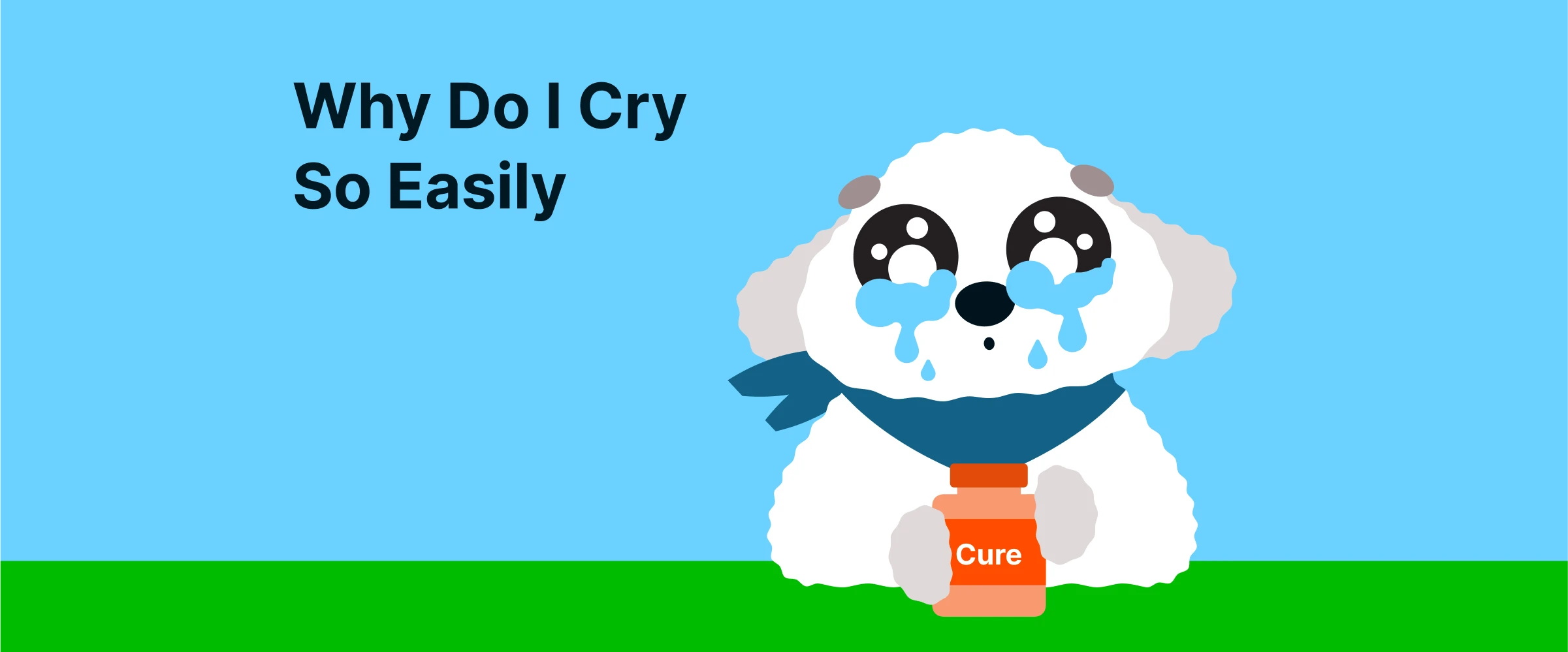 Why Do I Cry So Easily? Causes and Expert-Backed Coping Tips