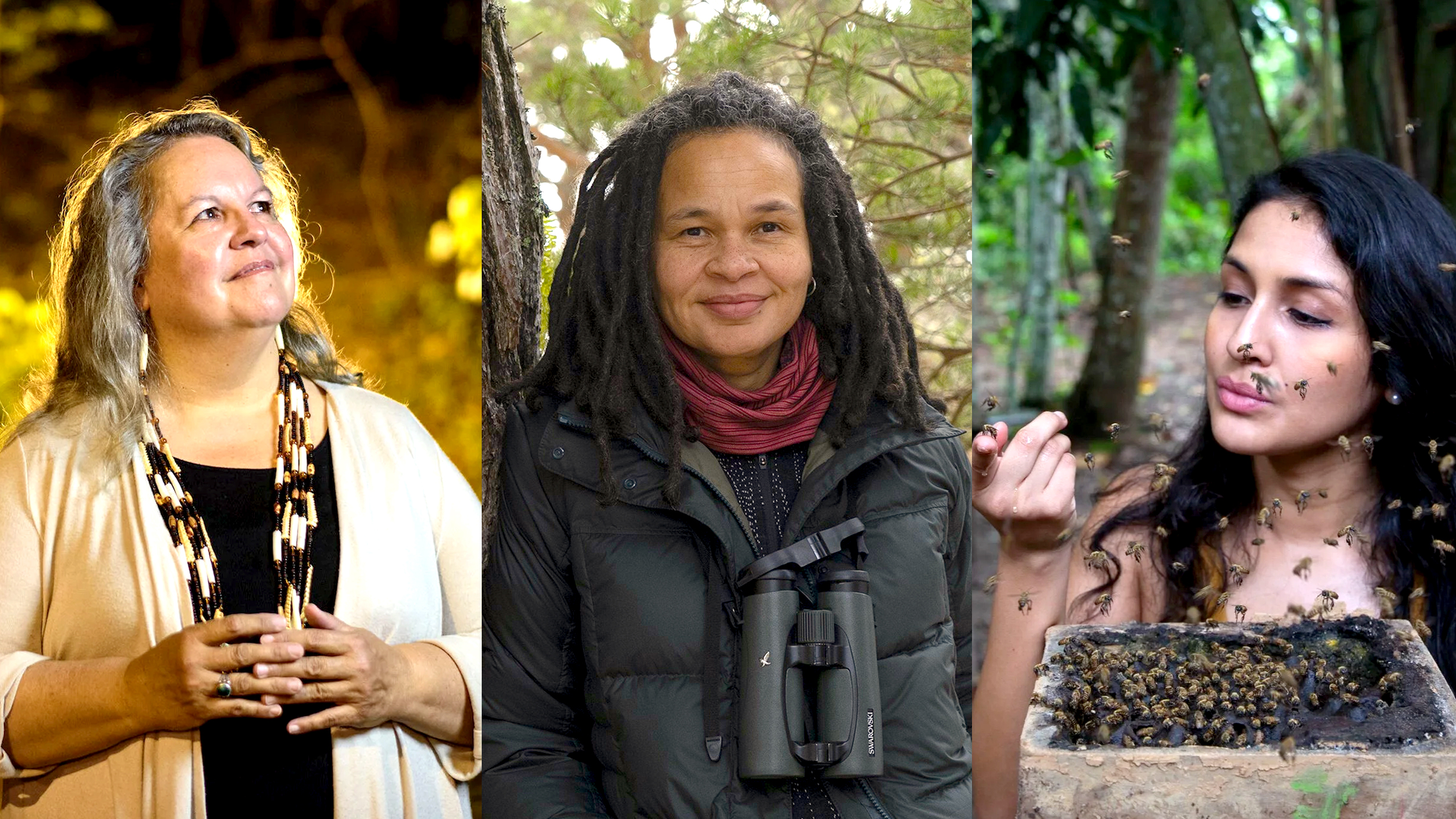 Indigenous Gardens: An Evening with Robin Wall Kimmerer, Amanda Thomson ...
