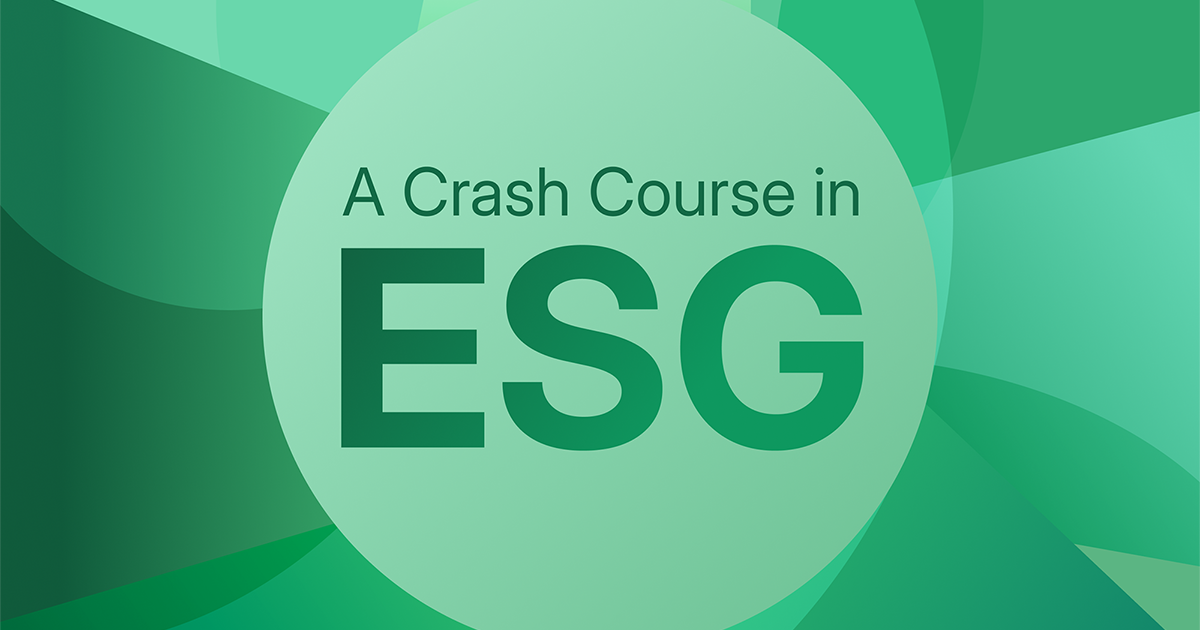 A Crash Course in ESG