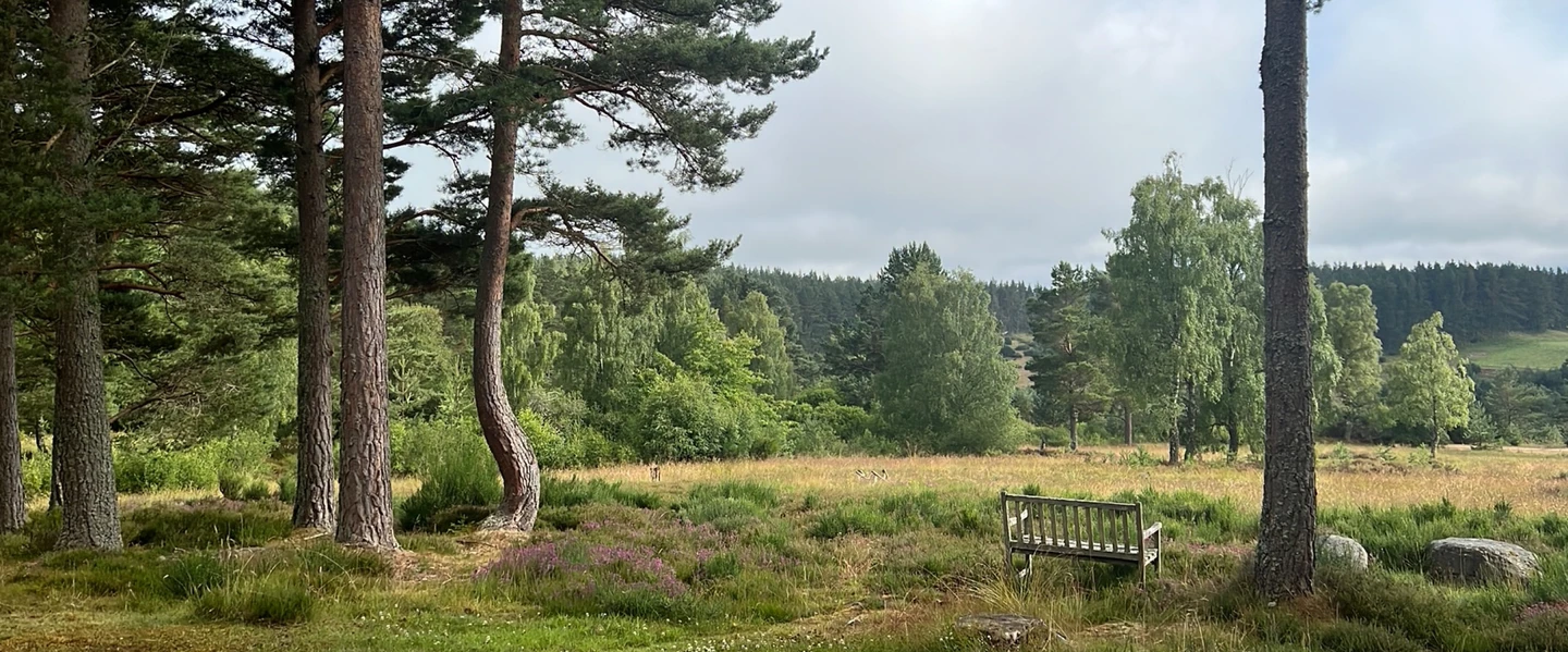 Brora | Luxury Scottish Cashmere & Clothing