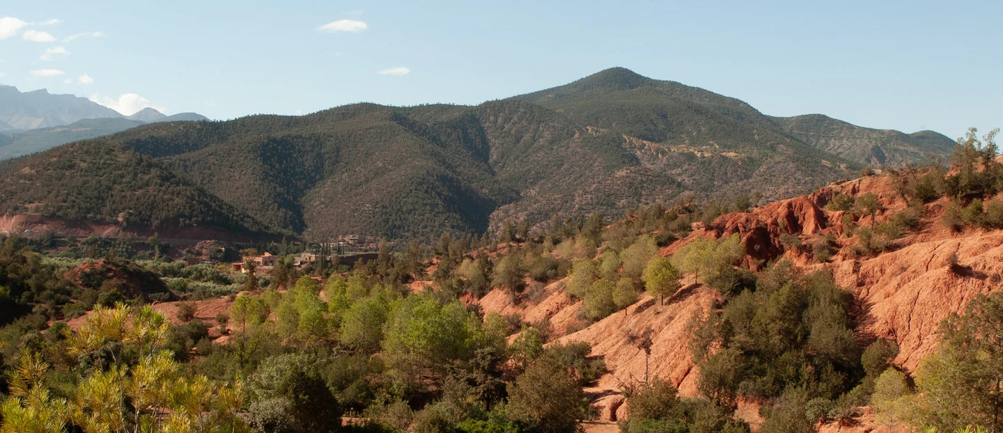 Brora | Luxury Scottish Cashmere & Clothing