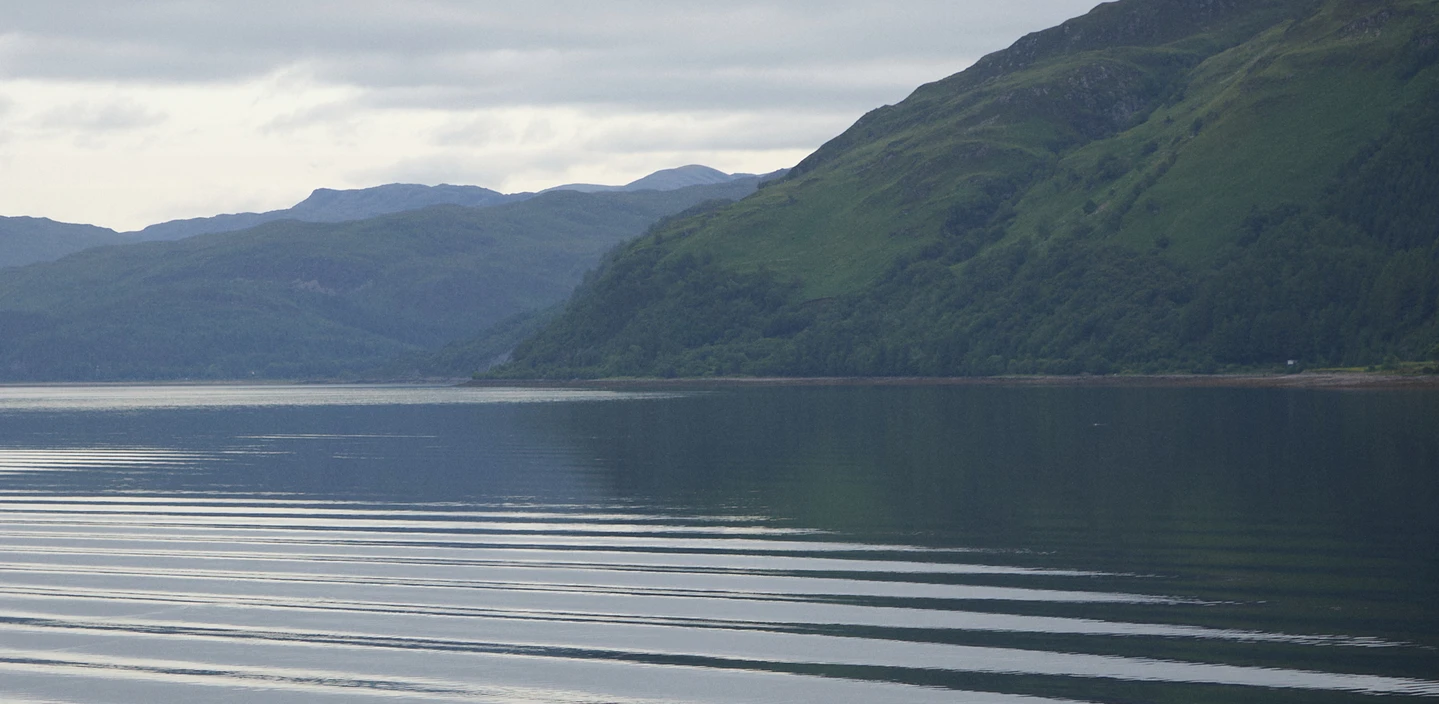 Brushed Cotton Gingham Dressing Gown in Thyme & Ash | Brora