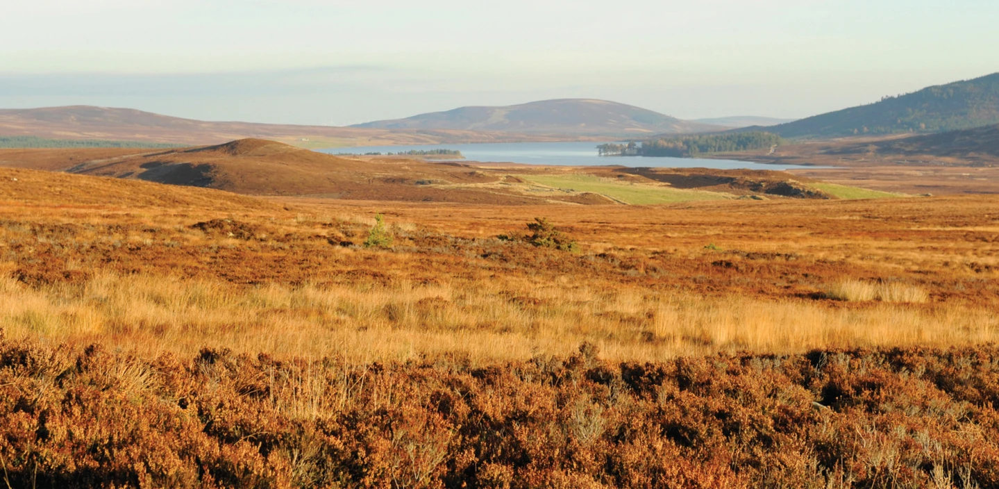 Wool Fair Isle Tank in Oatmeal | Layering Essentials | Brora