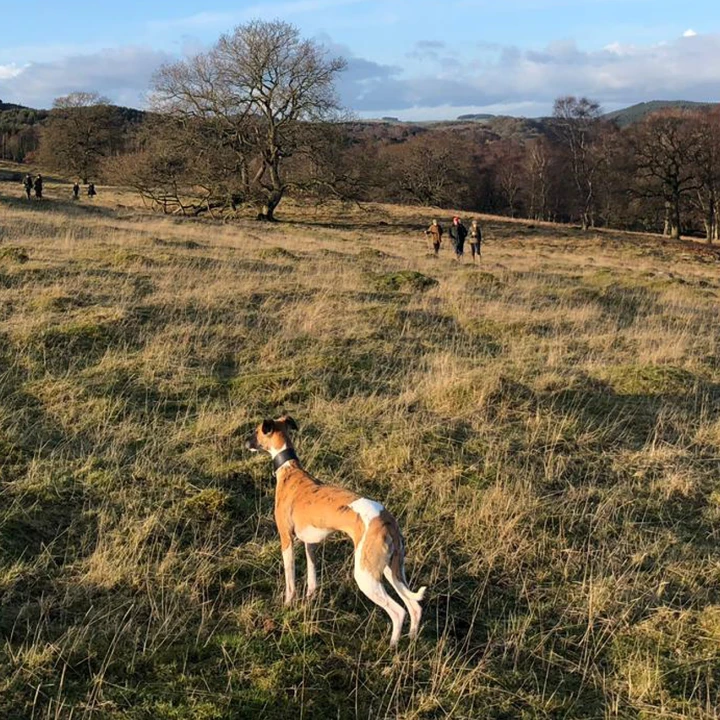 Meet the Founder | Q&A with Victoria Stapleton | Brora