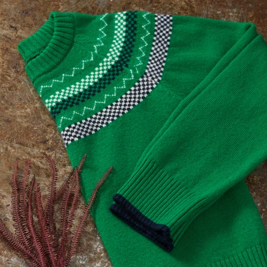 Supersoft Lambswool Graphic Jumper in Lizard | SKYE by Brora