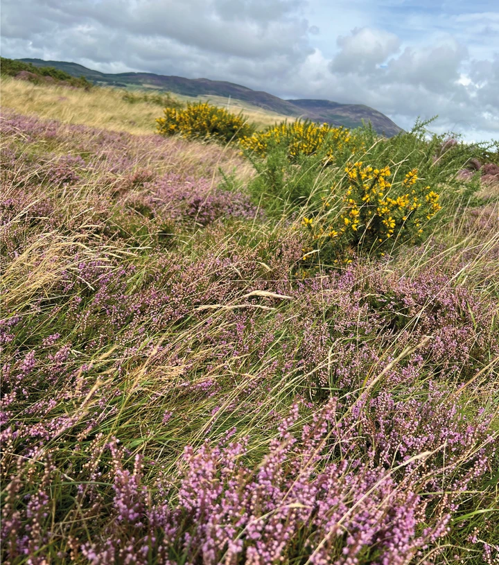 Meet the Founder | Q&A with Victoria Stapleton | Brora