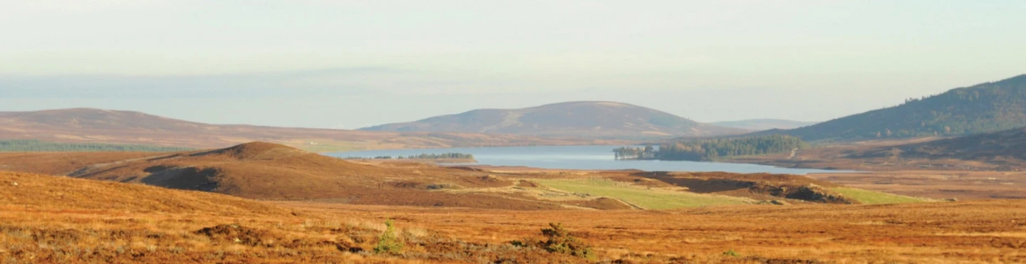 Brora | Luxury Scottish Cashmere & Clothing