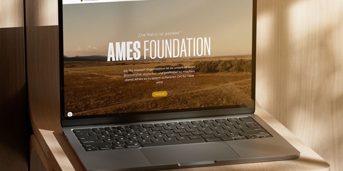 AMES Foundation von Dorfjungs.