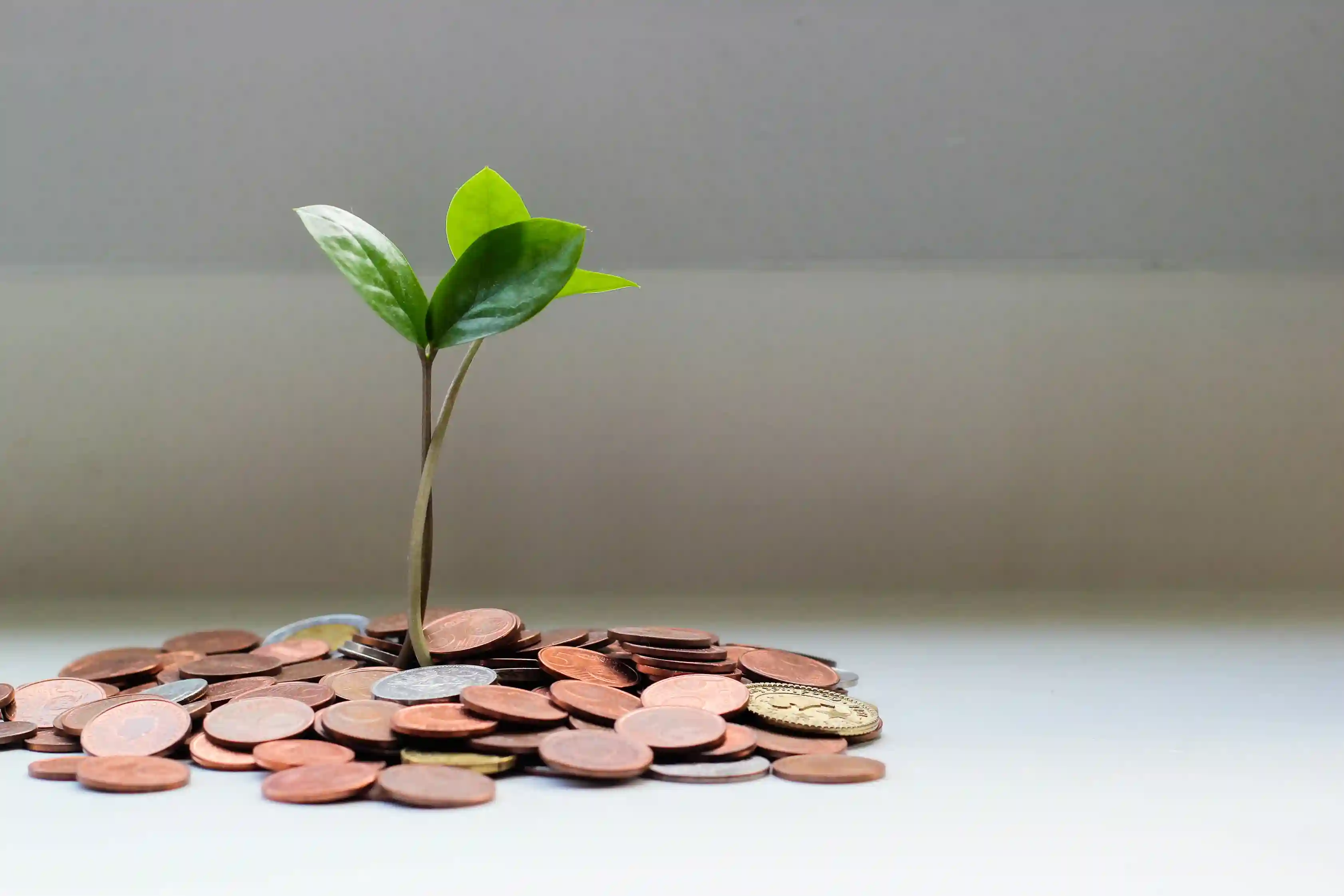 Buy, borrow, die strategy: what is it? | Unbiased - unbiased.com