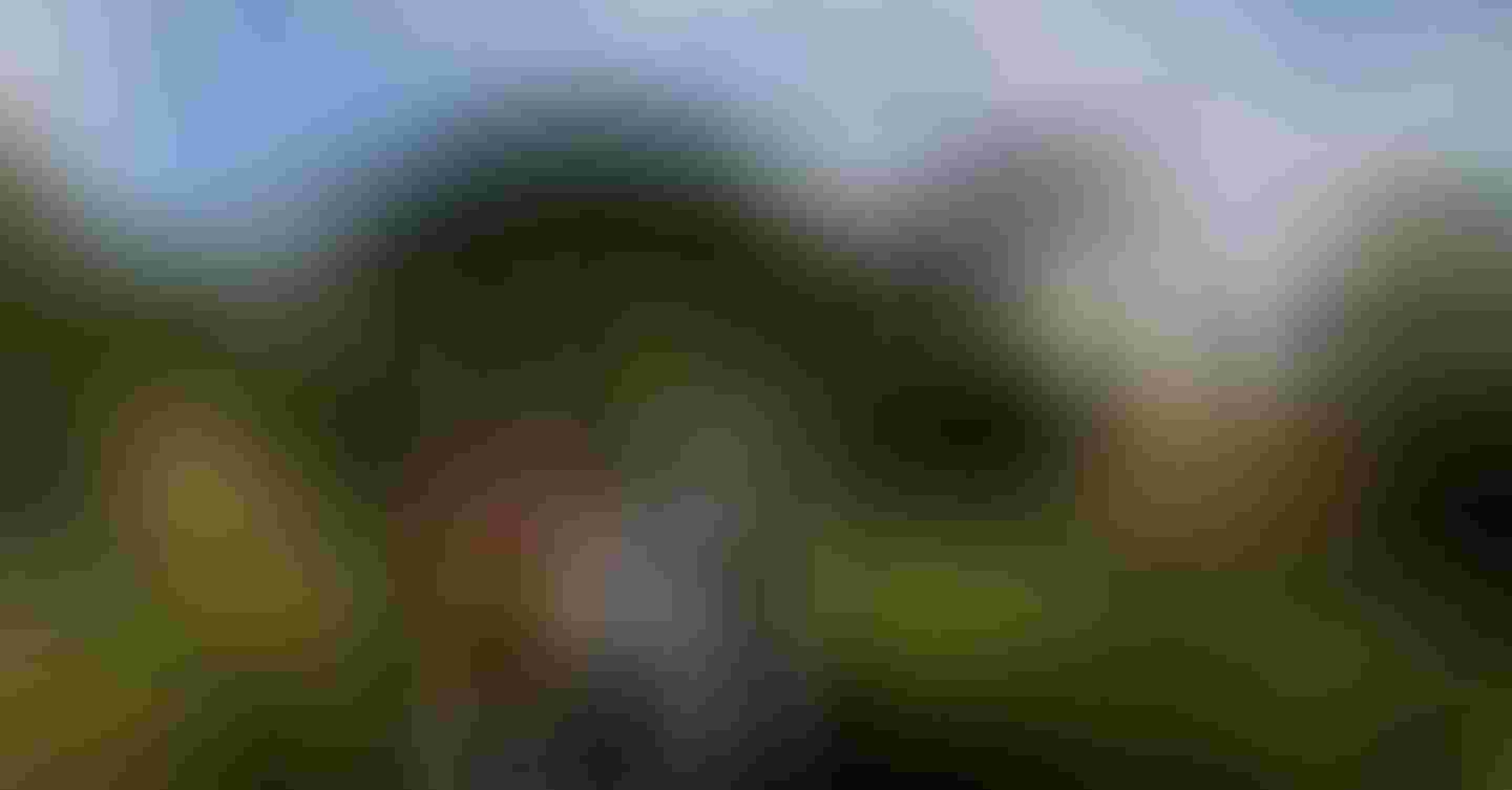 Campus Tours and Mini Open Days