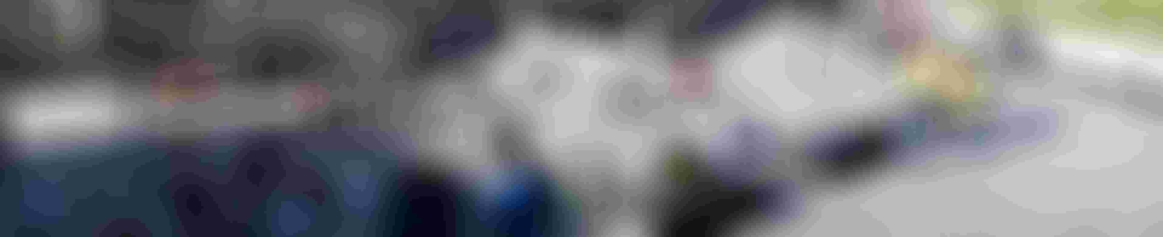 International and EU scholarships