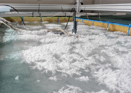 Roland von Glasow Air-Sea-Ice Chamber - School of Environmental Sciences