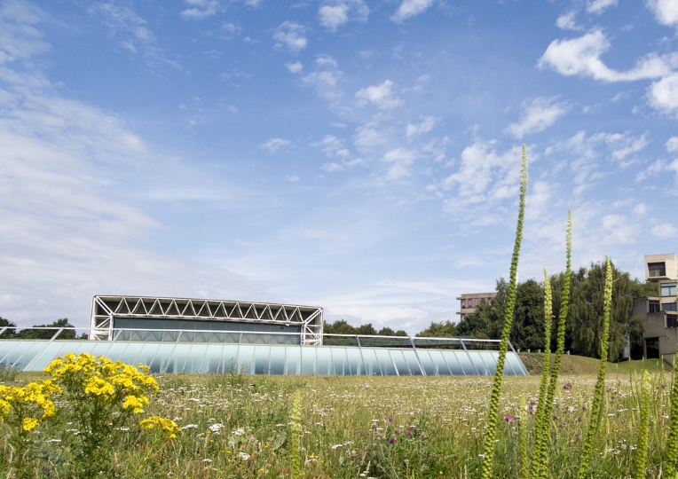 University Information