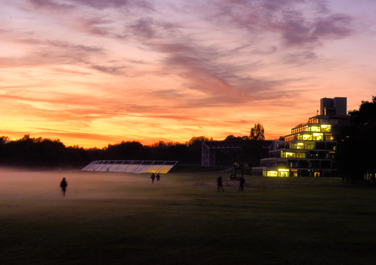 Procurement - University Information