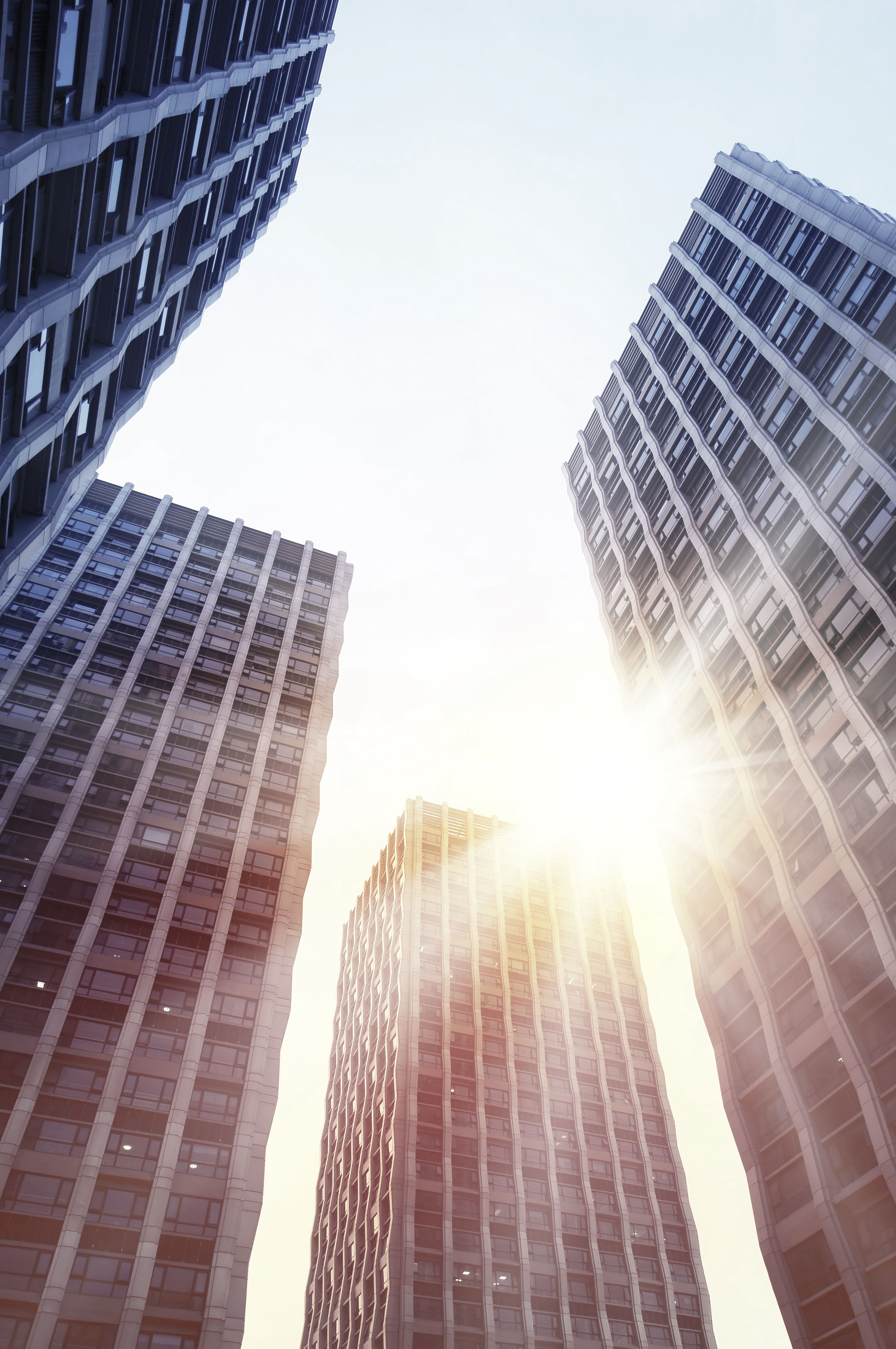 McGrathNicol wins ‘Most Innovative Accounting & Consulting Services ...