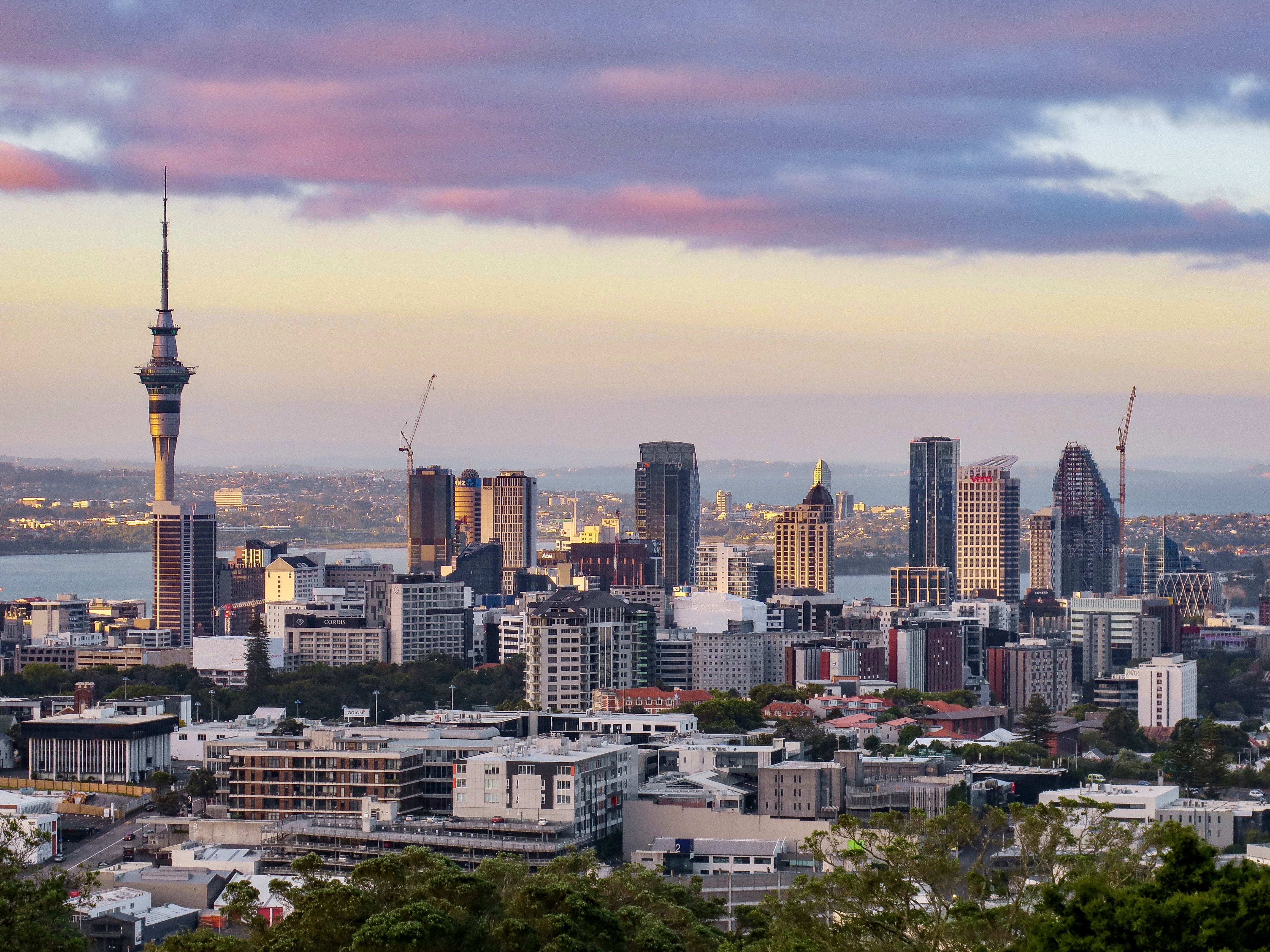 McGrathNicol New Zealand welcomes Alton Pollard as a Partner | Insights ...