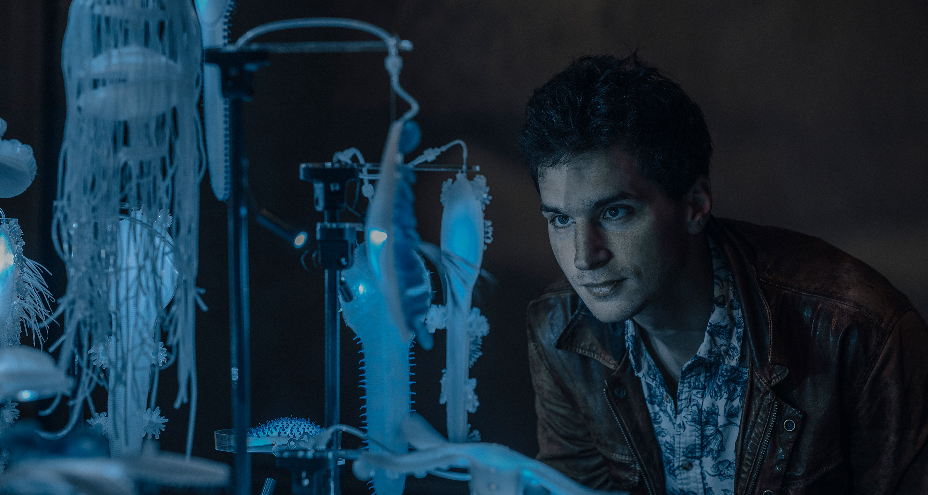 Automorph Network - London Design Biennale