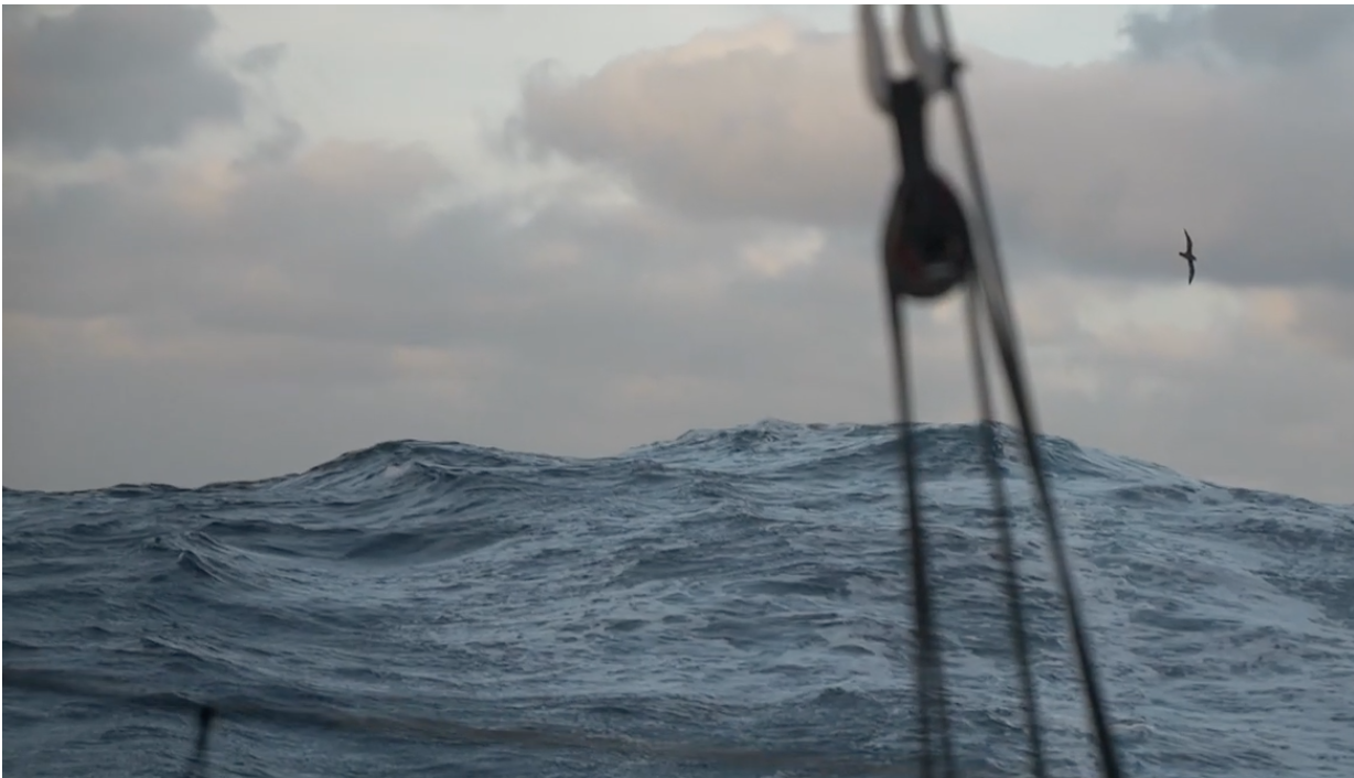 Day 2 - Leg 3 - The Ocean Race - Big Southern Ocean Waves | Team ...