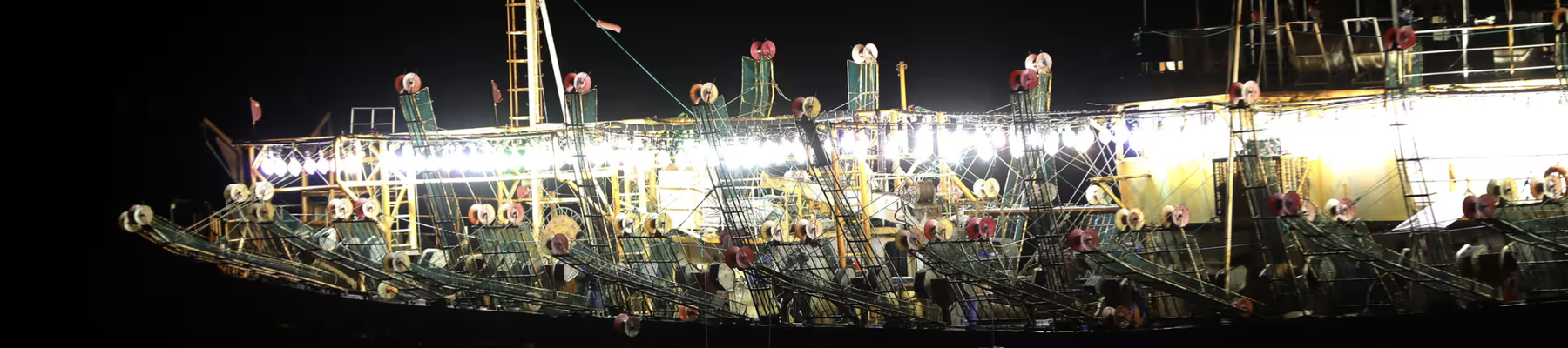 Mile 201: Where exploitation thrives and marine life dies | Team ...