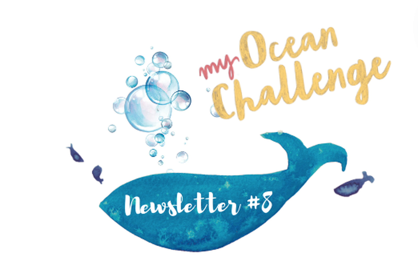 My Ocean Challenge Newsletter 8 - Life Onboard And Whales! | Team ...