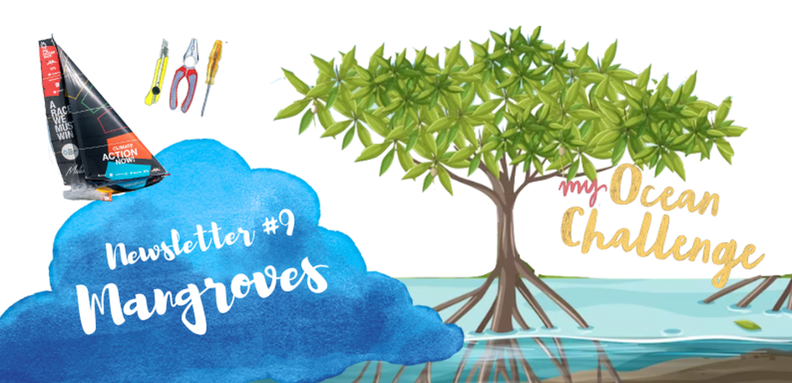 My Ocean Challenge Newsletter 9 - Marvelous Mangroves! | Team Malizia ...