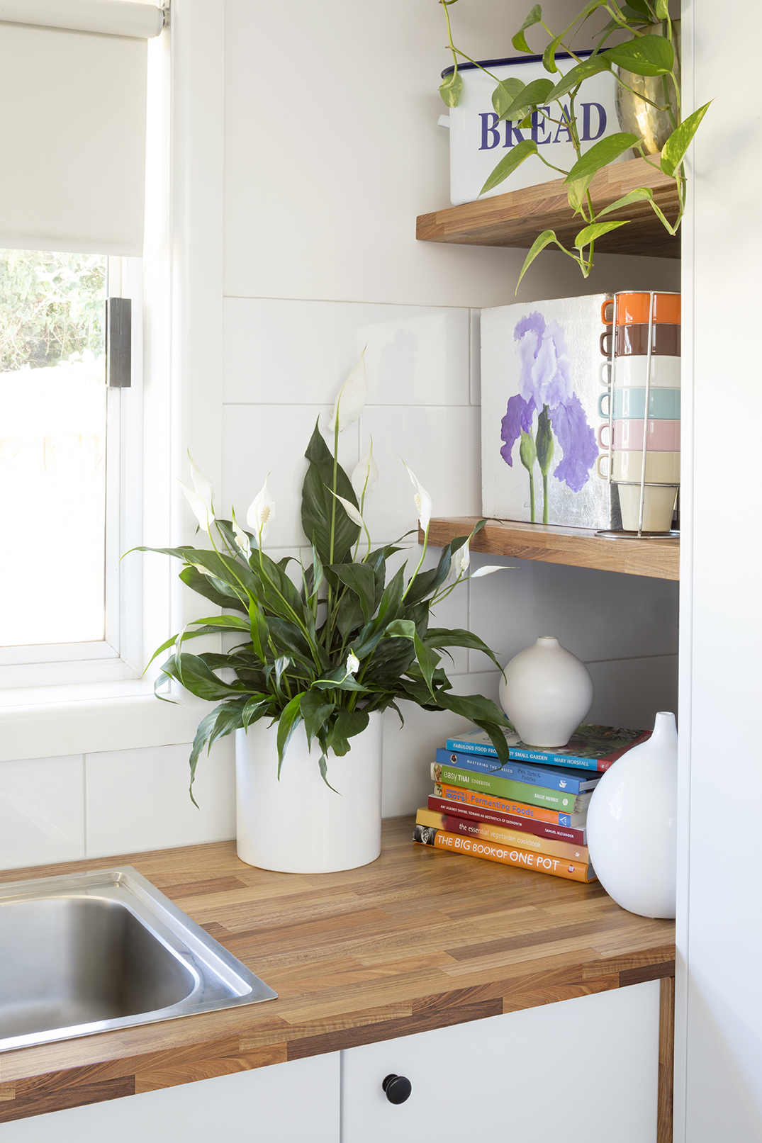 Maple bench tops store