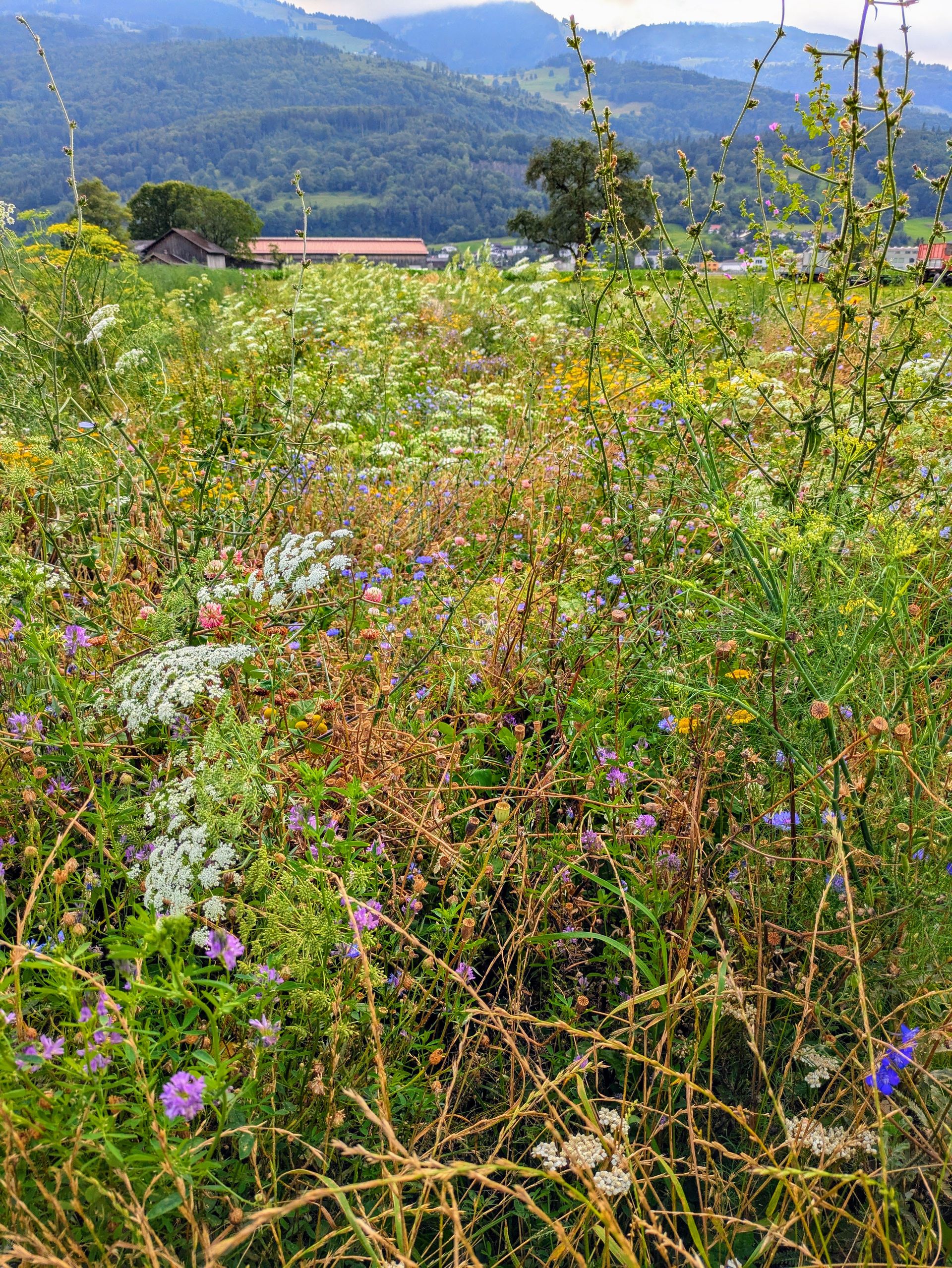 Stellungnahme zum Aktionsplan Biodiversität 2030+ – Liechtensteinische Gesellschaft für ...
