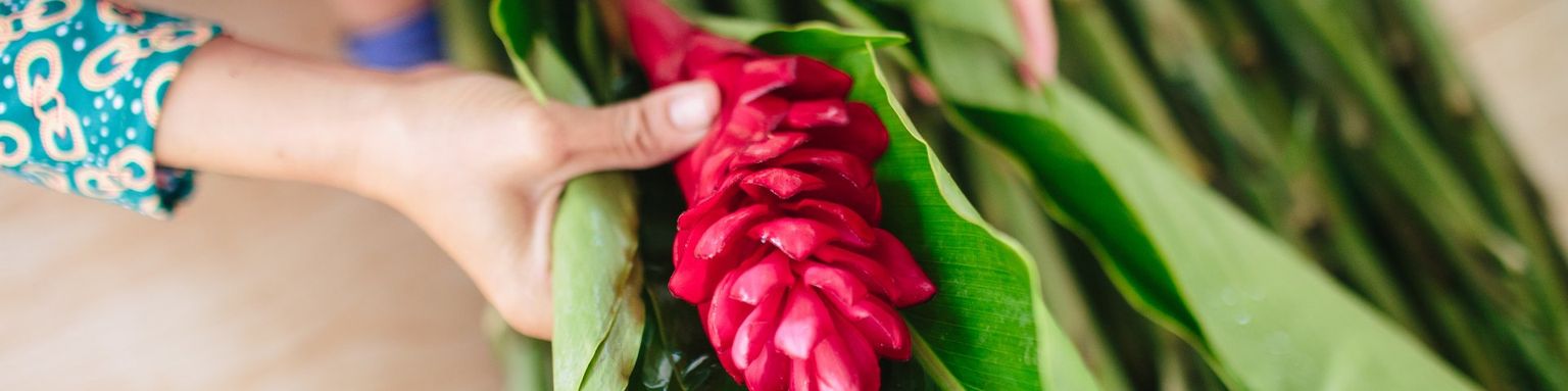 SNV presents 10 case studies from the Partnering for Value Project | SNV