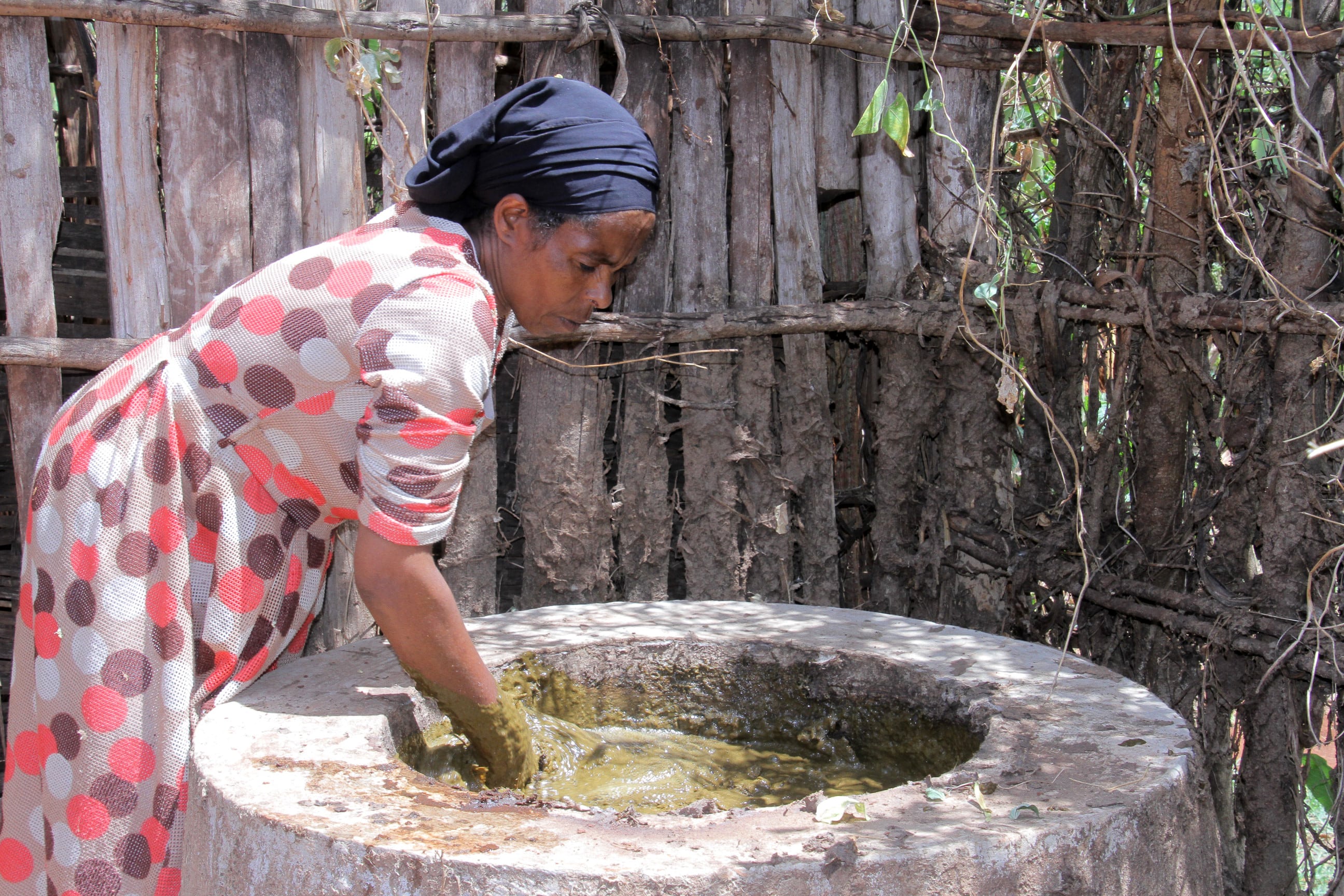 Bio-slurry a promising natural pesticide to fight against fall armyworm ...