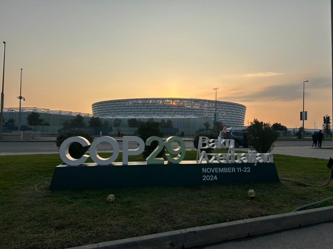 Key takeaways from COP29 | SNV