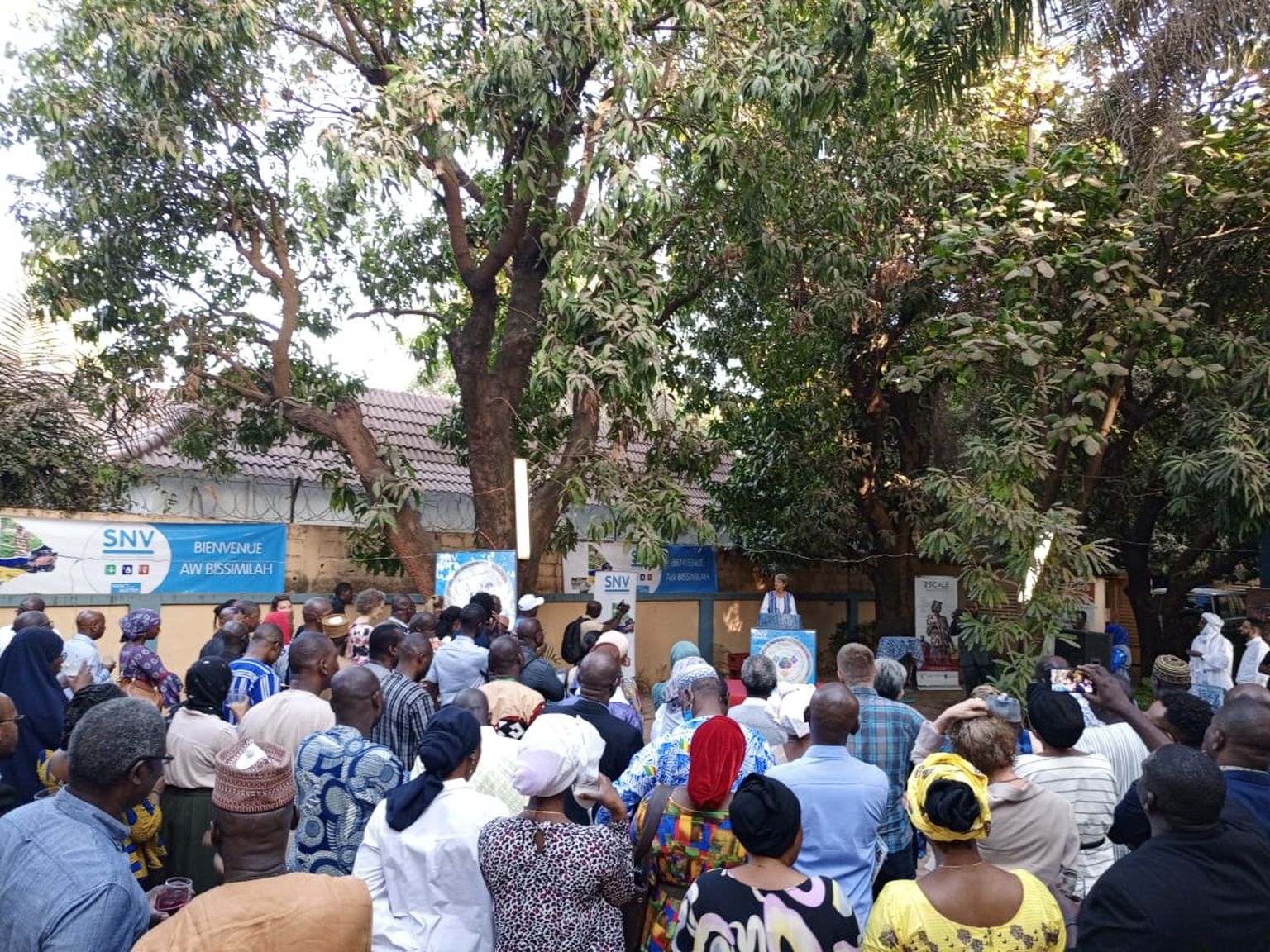 Impact that matters | SNV