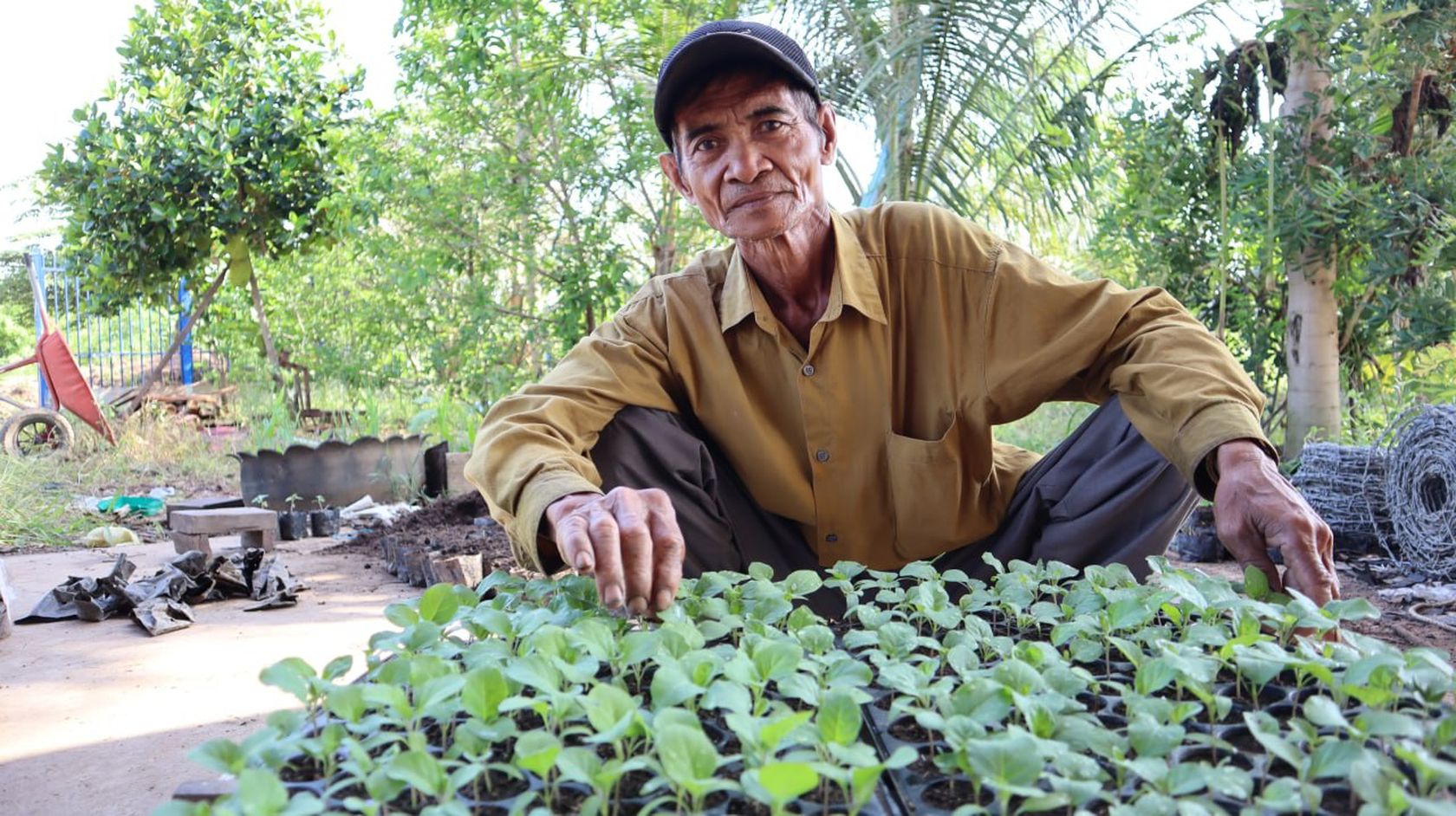 How-to-guide: Lead Farmer Business Incubator Approach - CHAIN project | SNV