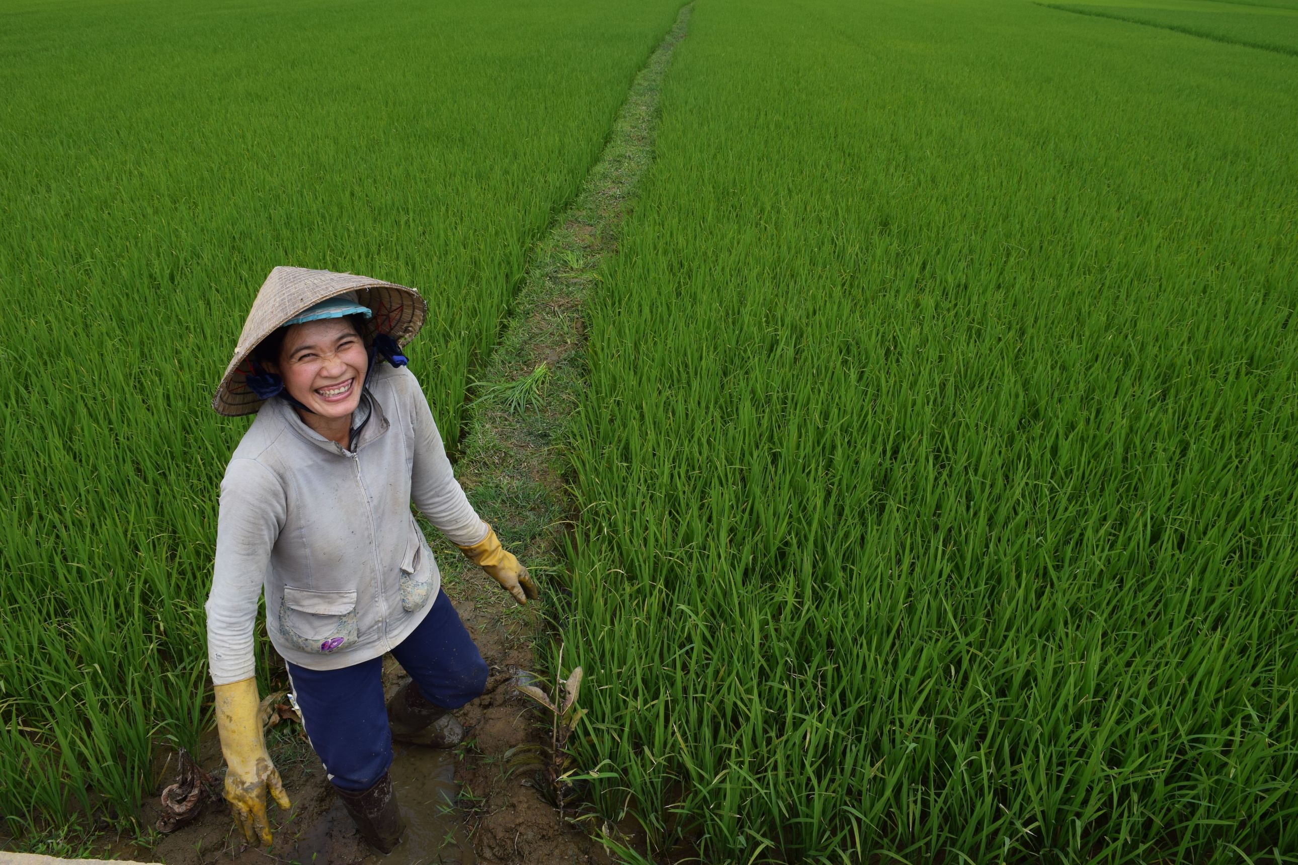 Sowing the Seeds of Change | SNV