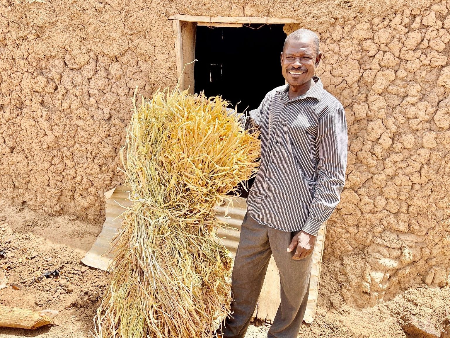 Harnessing climate-resilient agriculture in Mali | SNV