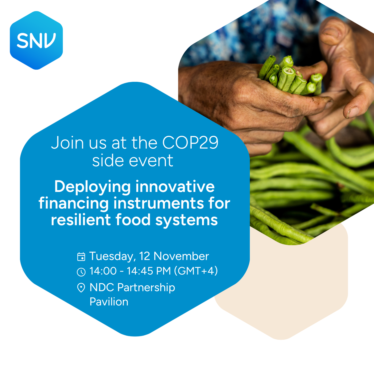 Targeted climate finance for local impact: SNV at COP29 | SNV