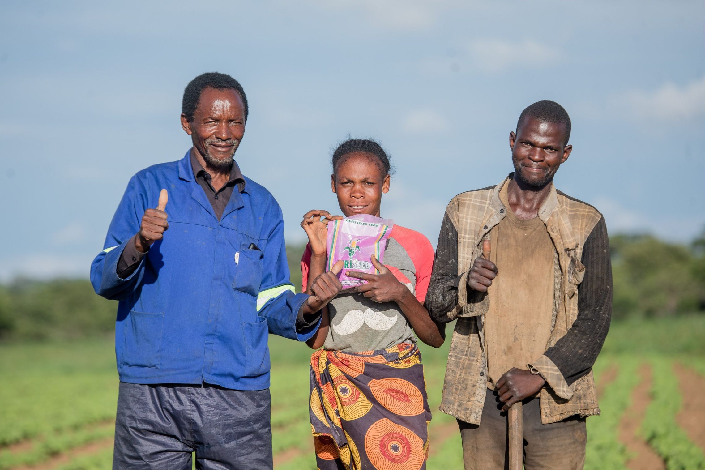 Mbereshi beans in Zambia transform smallholder farming | SNV