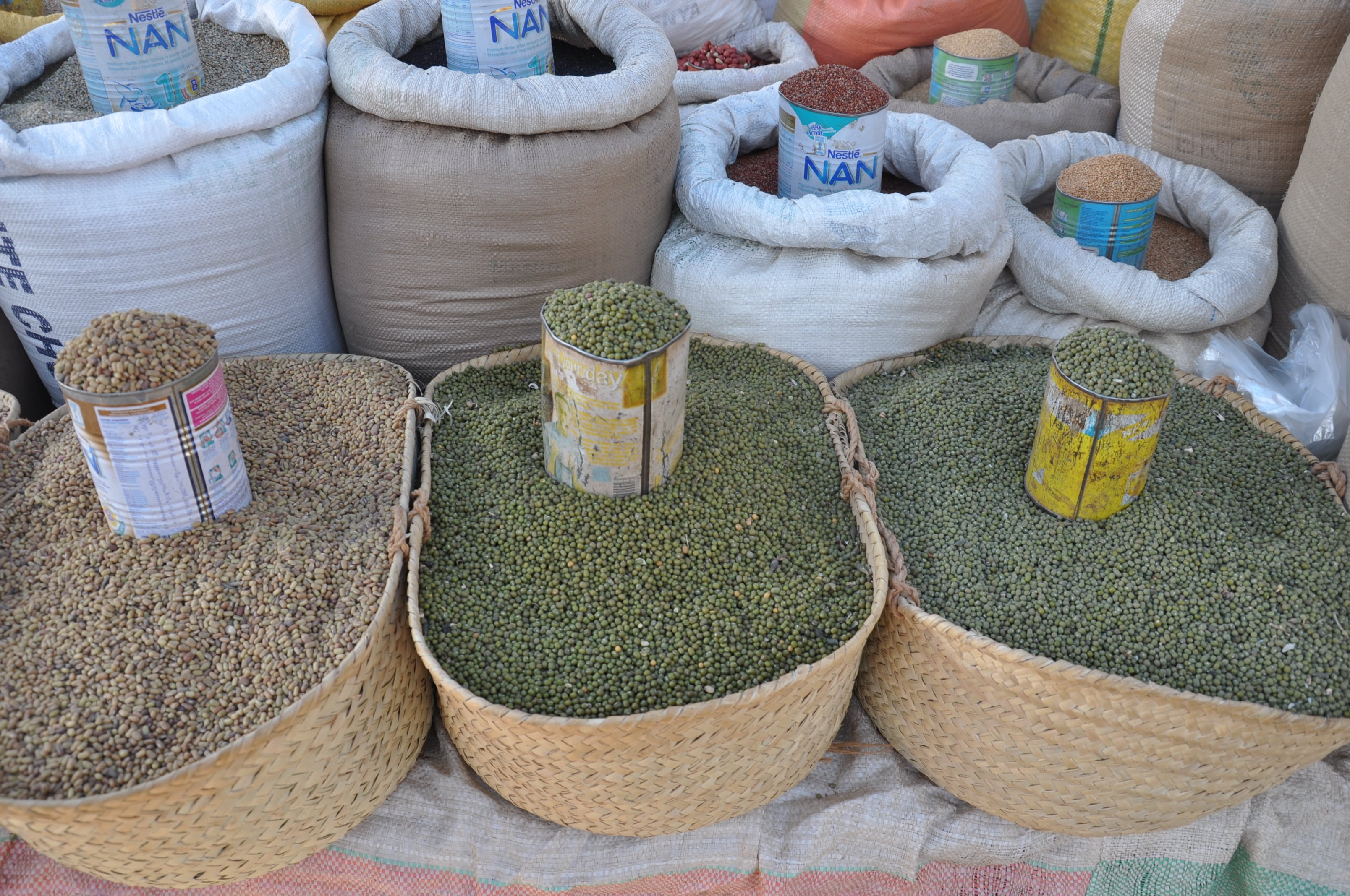The Drylands Development (DRYDEV) project | SNV