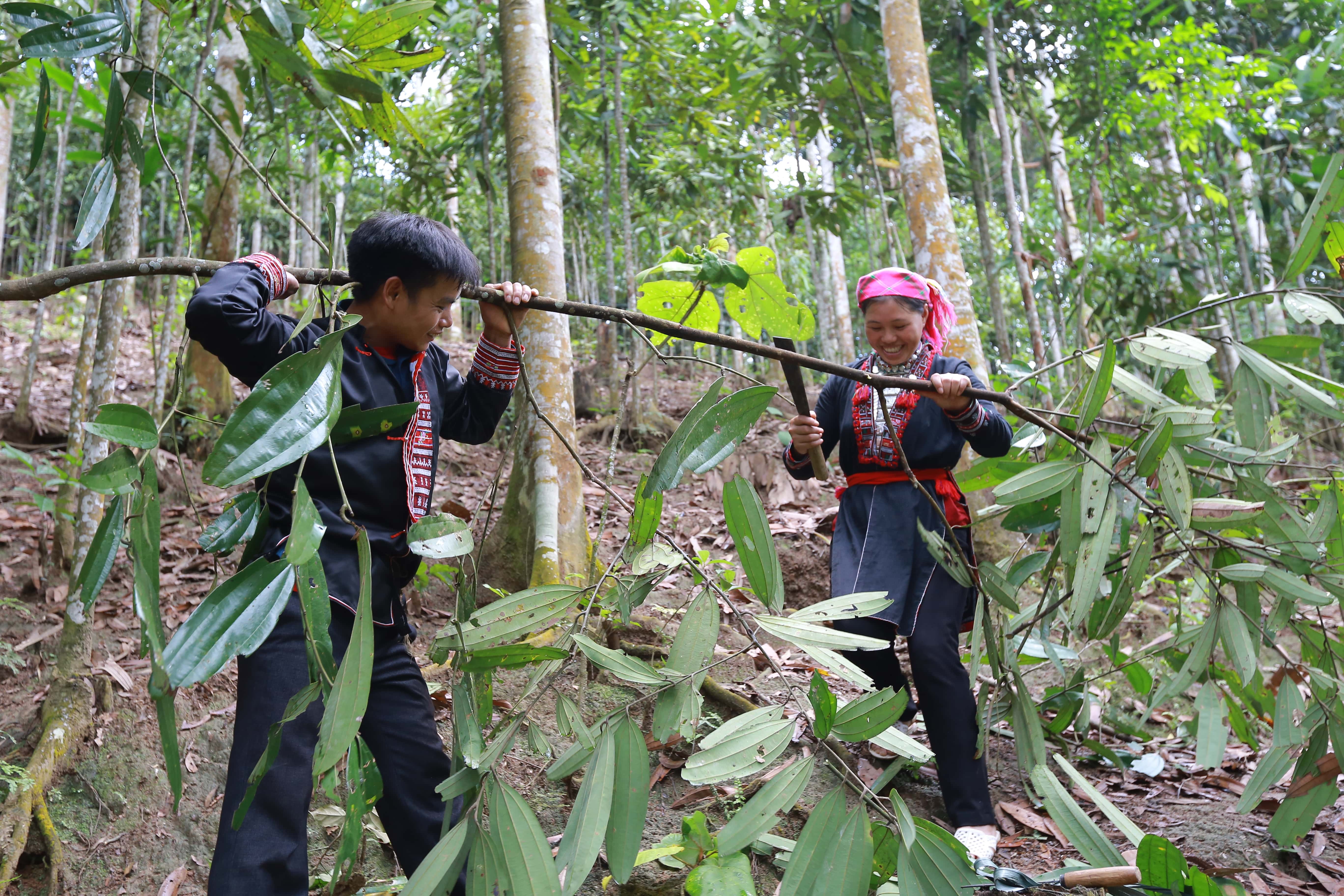 Women’s Economic Empowerment through Agricultural Value Chain ...
