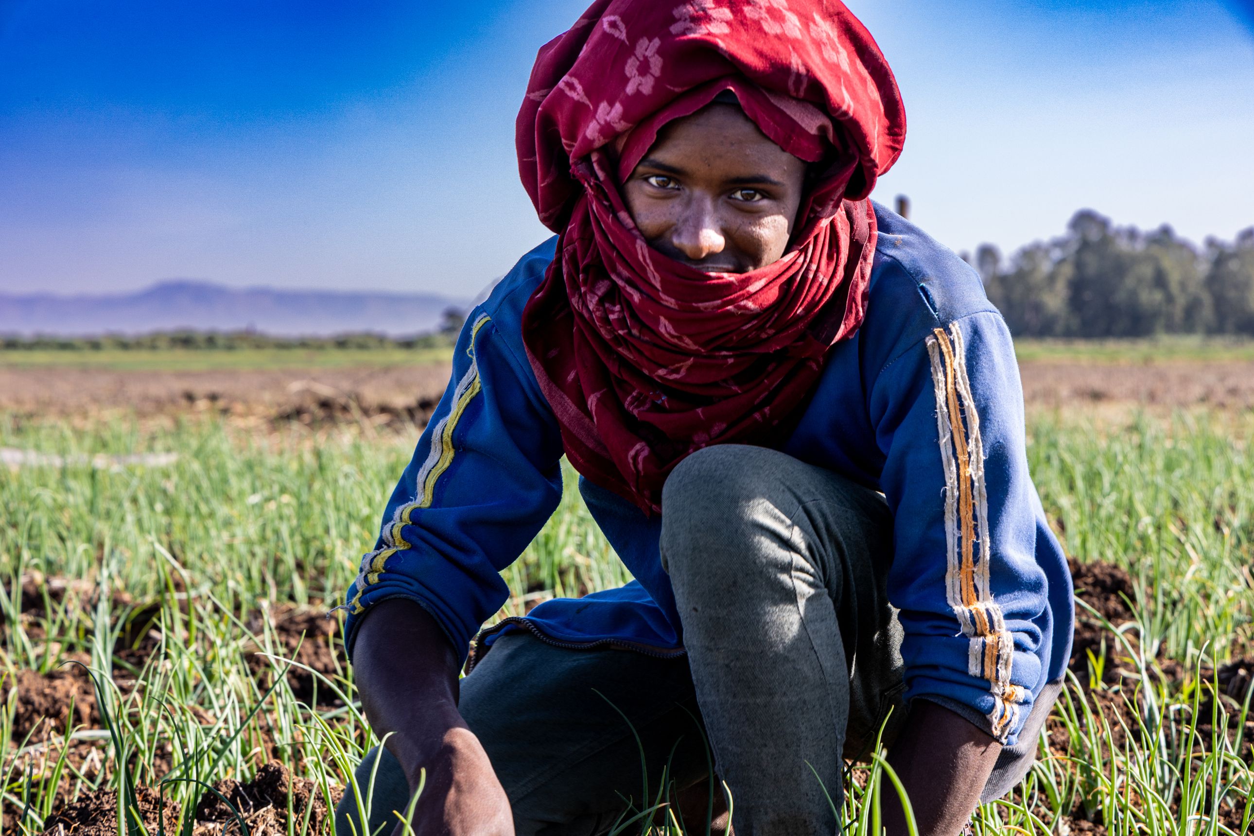 Innovations Against Poverty (IAP) | SNV