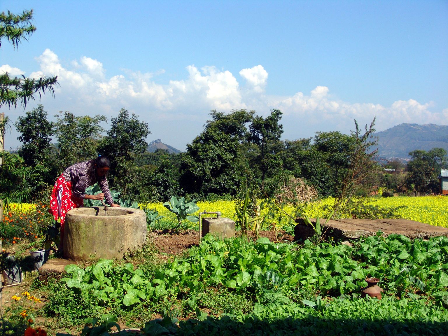 Africa Biogas Partnership Programme (ABPP) | SNV