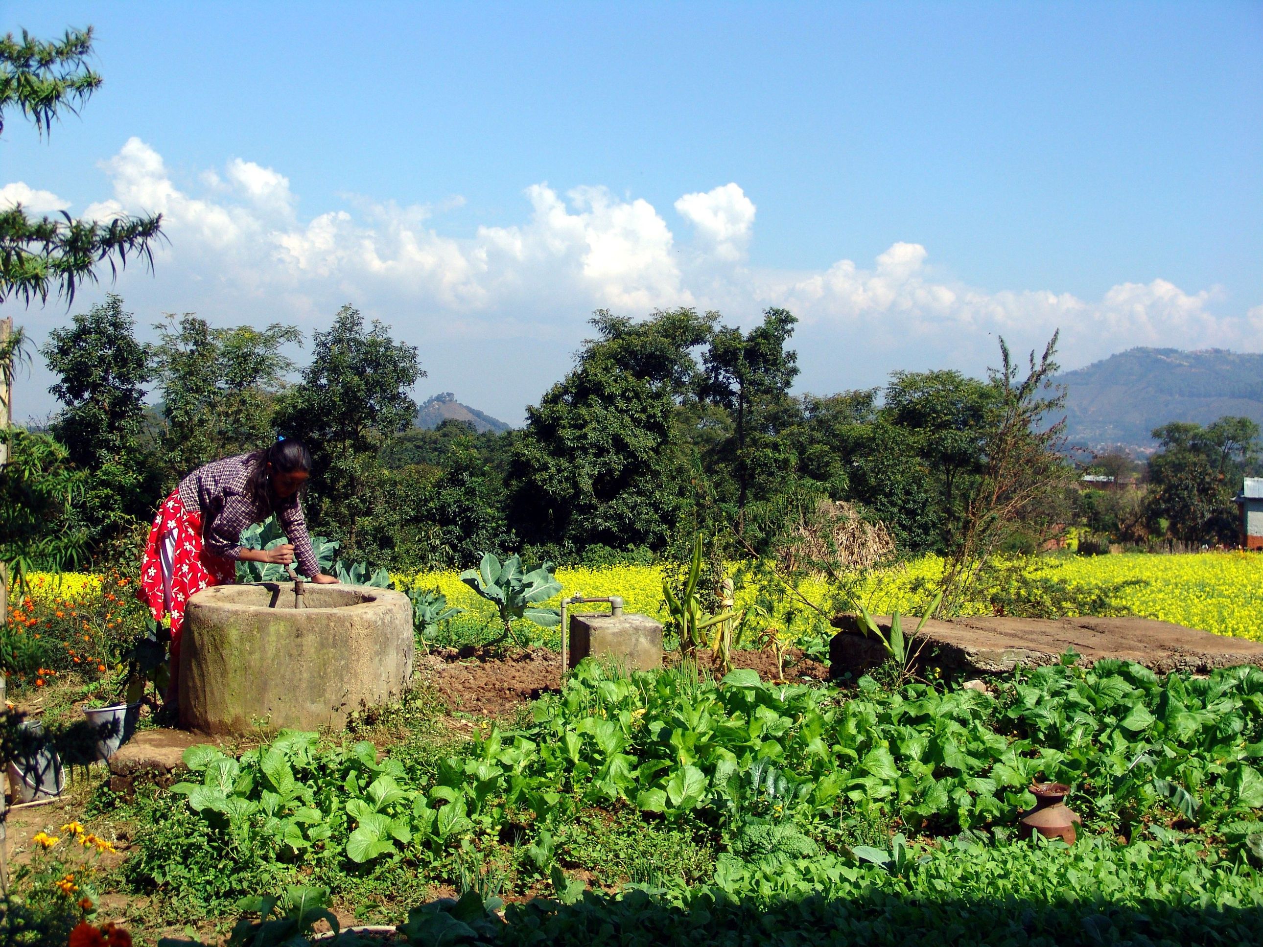 Biogas Programme - Nepal | SNV
