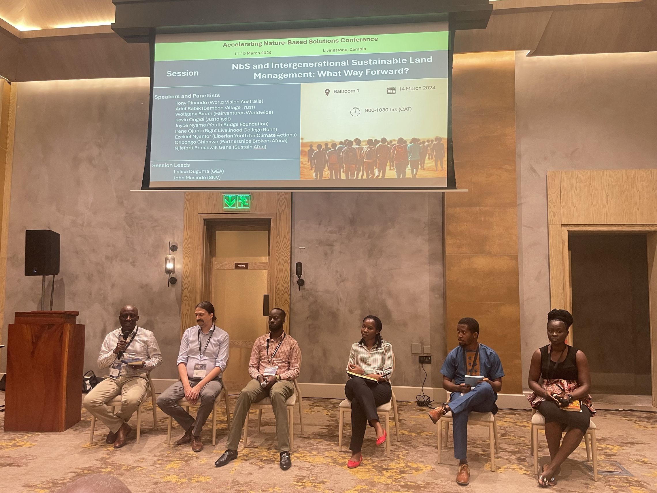 Accelerating Nature-based solutions as a game-changer for sustainable ...