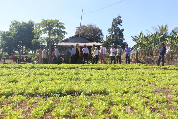 SNV CEO Meike van Ginneken visits Cambodia | SNV