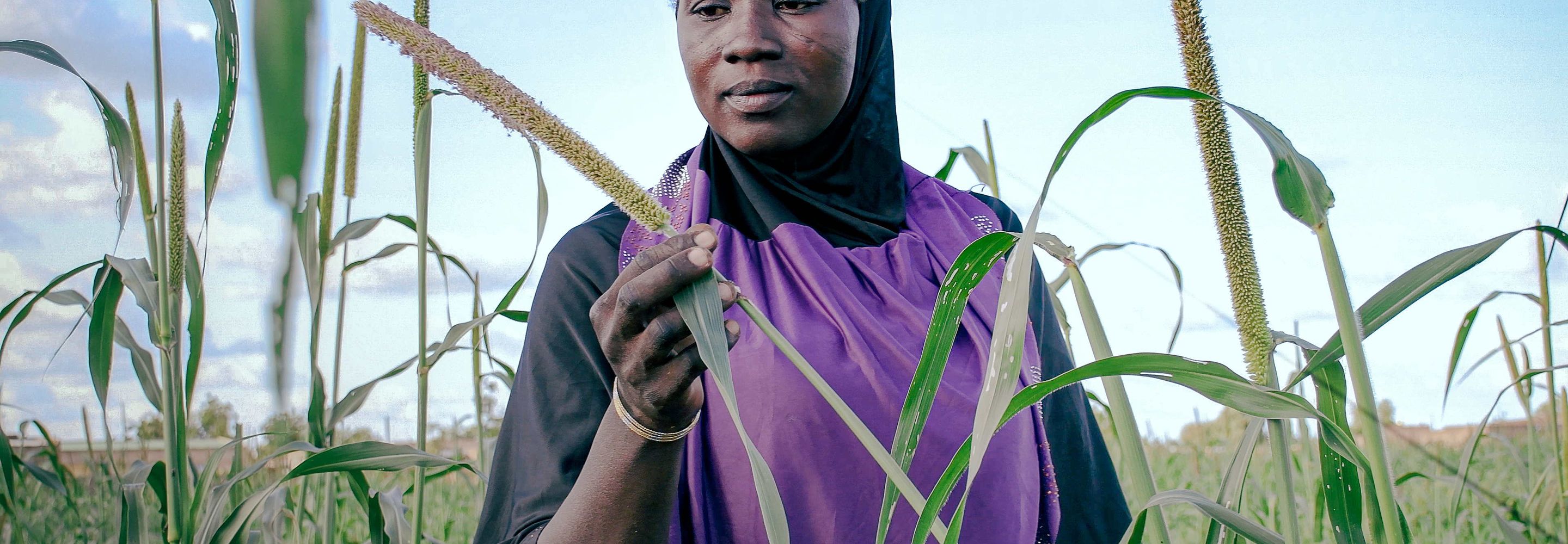 Impact that matters | SNV