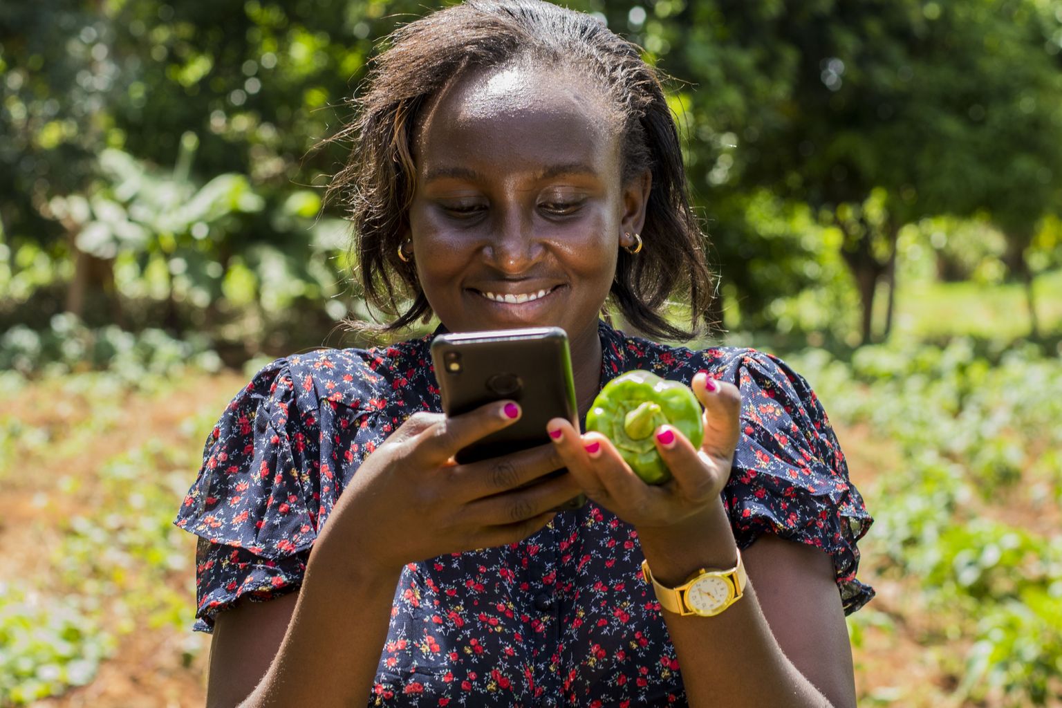 Increasing Climate Resilience in Energy & Agriculture Systems and ...