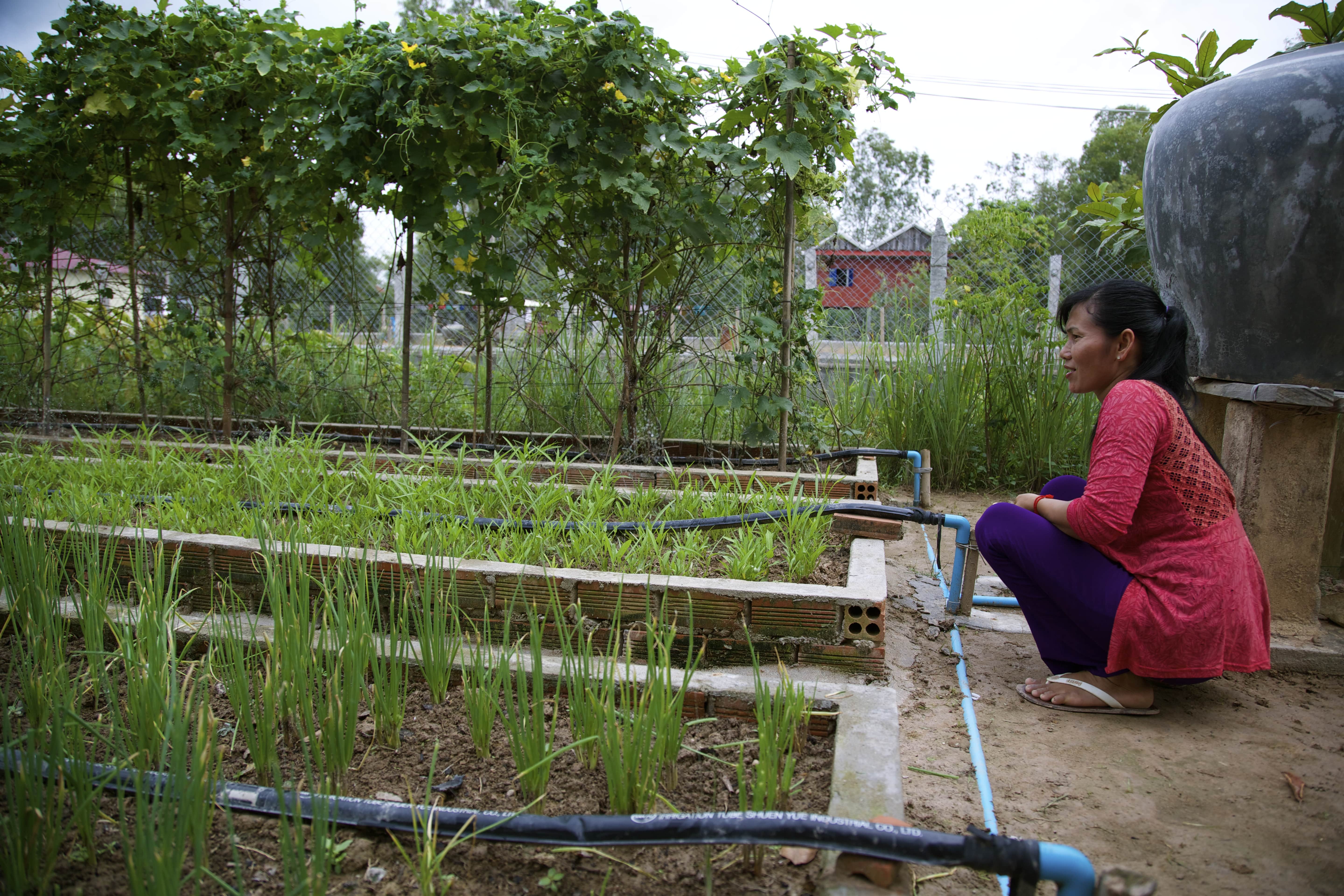 Climate Smart Agriculture - Cambodia | SNV
