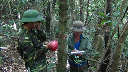 Training course on silviculture techniques | SNV
