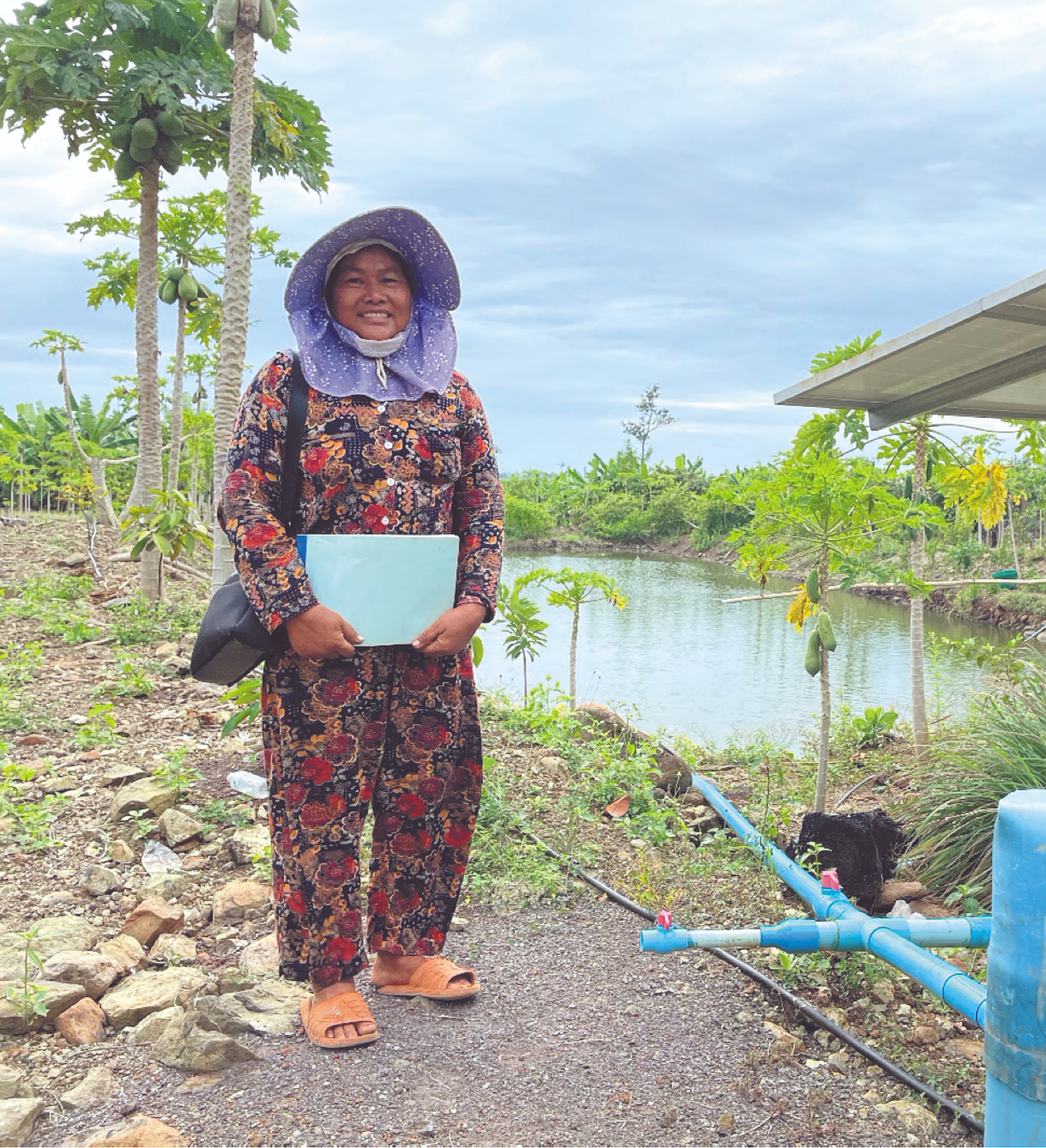 How-to-guide: Smart Water and Climate Smart Solutions for Horticulture ...
