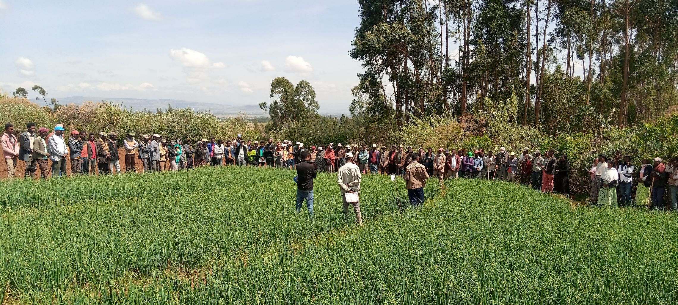 Transforming land investments: the Risk-Reward Model | SNV